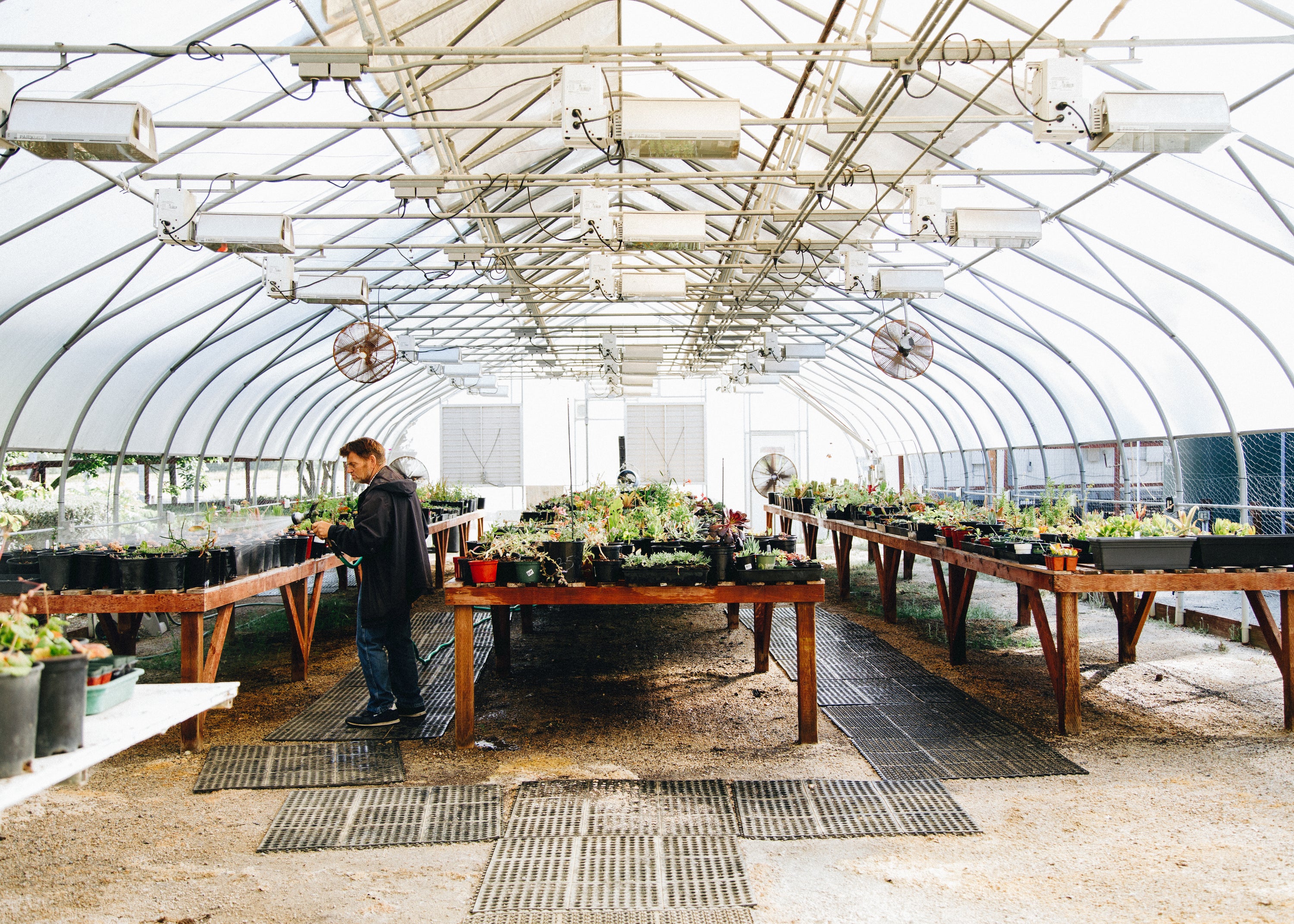 Services – Achievement House