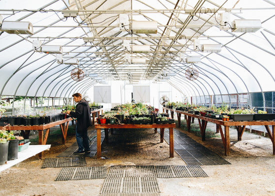 Services – Achievement House