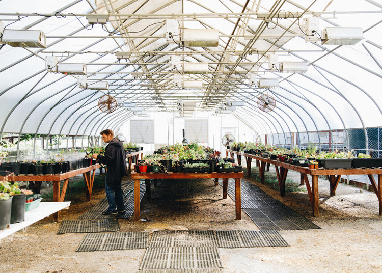 Services – Achievement House