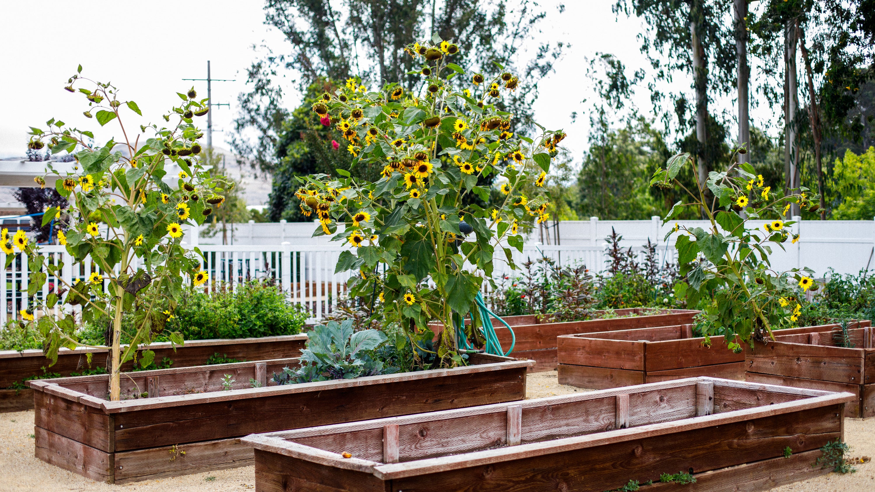 Achievement House, Inc – Achievement House